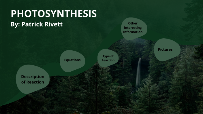 Research Project: Photosynthesis (Patrick Rivett) by PATRICK RIVETT ...