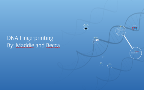 DNA Fingerprinting by Madison Fennell