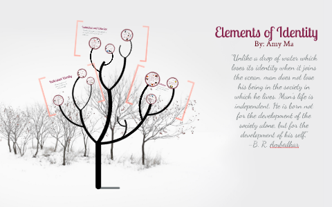 Elements of Identity by Amy Ma