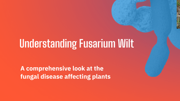 Understanding Fusarium Wilt by Virti Jain on Prezi