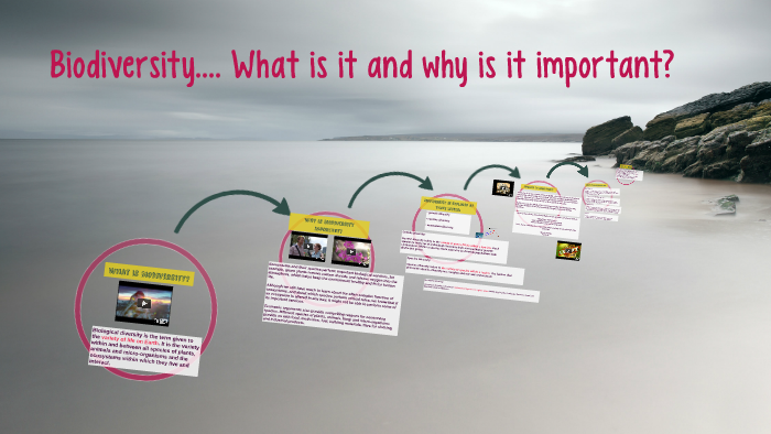 Biodiversity.... What is it and why is it important? by Heather ...