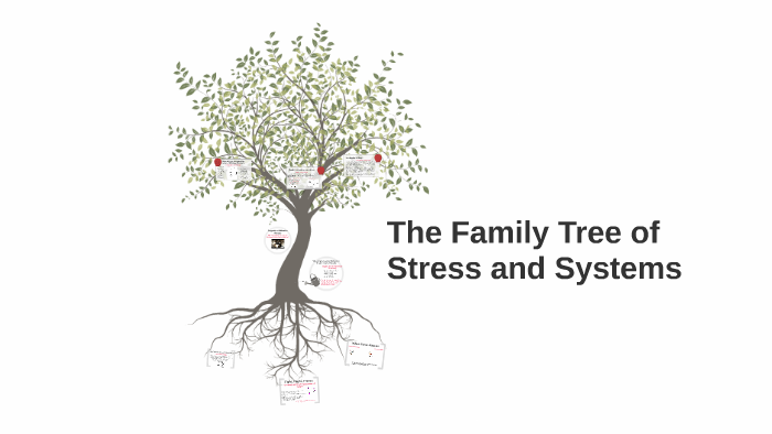 The Family Tree of Stress and Systems by Erica Taylor on Prezi
