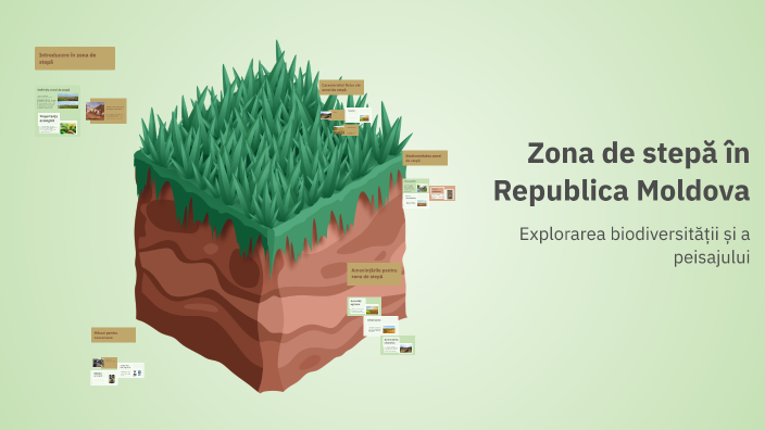 Zona de stepă în Republica Moldova by Olga Paduraru on Prezi
