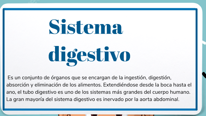 Sistema Digestivo by JUDITH HEREDIA on Prezi