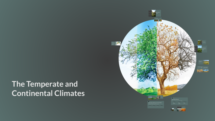 Understanding Temperate and Continental Climates by Sofia palma on Prezi