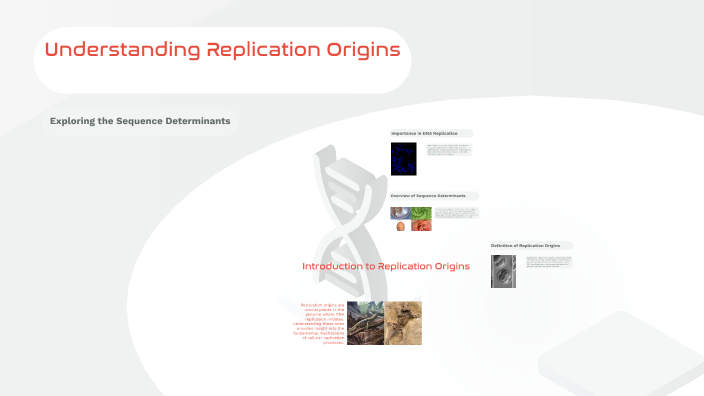 Understanding Replication Origins by Marcell Veiner on Prezi