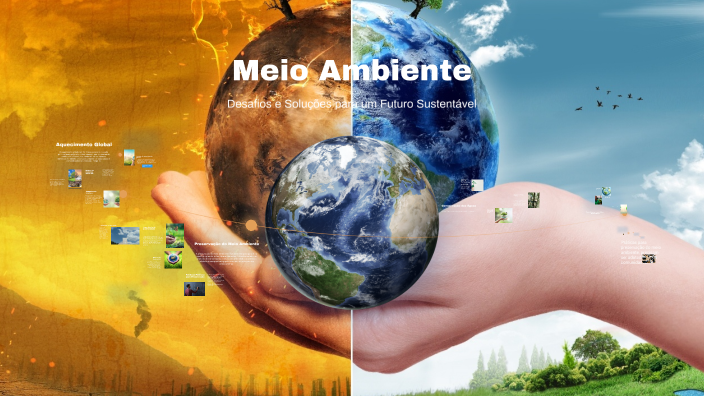 Meio Ambiente by Maria Eliza Duarte Castello Fornaro on Prezi