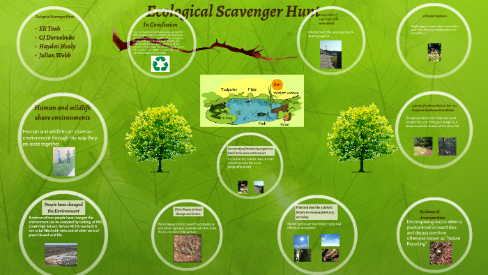 Ecological Scavenger Hunt by Eli Teah on Prezi