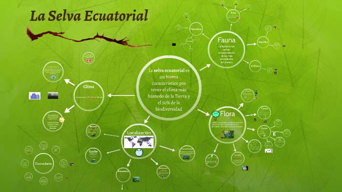 La Selva Ecuatorial by Rubén Barrios Arroyo on Prezi
