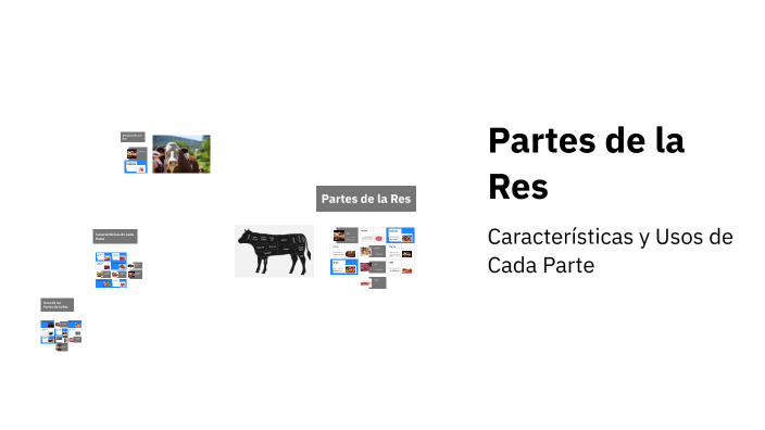 Partes de la Res by Diego Morales on Prezi
