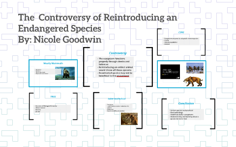 The Controversy of Reintroducing an Endangered Species by Nicole ...