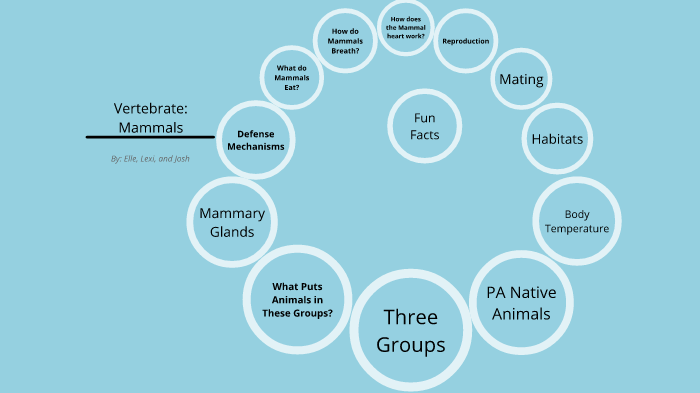 Vertebrate Proj. by Elle Macafee on Prezi