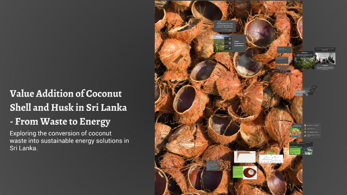 Value Addition of Coconut Shell and Husk in Sri Lanka - From Waste to ...