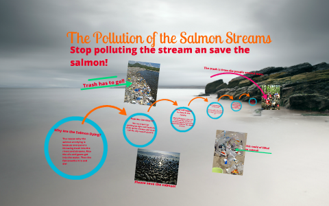 The Pollution of the Salmon Streams by Lillian Watkins on Prezi