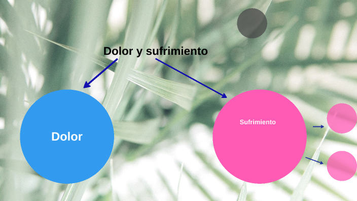 Dolor y Sufrimiento by Jacob Prieto on Prezi