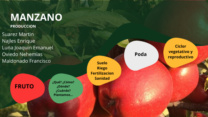 PRODUCCION DEL MANZANO by Martín Suárez suarez on Prezi