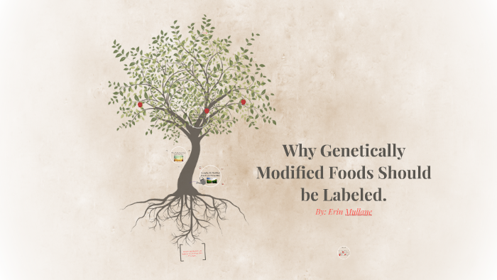 Why Genetically Modified Foods Should be Labeled by Erin M on Prezi