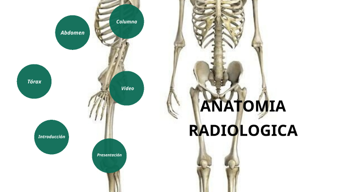 Anatomía Radiológica by Ana Chacua on Prezi