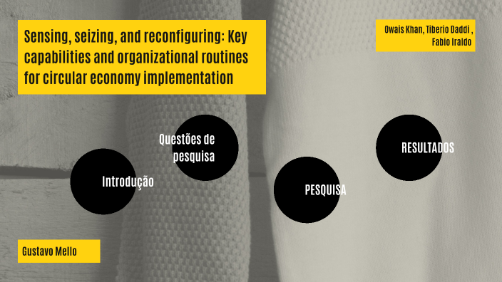 Sensing, seizing, and reconfiguring: Key capabilities and ...