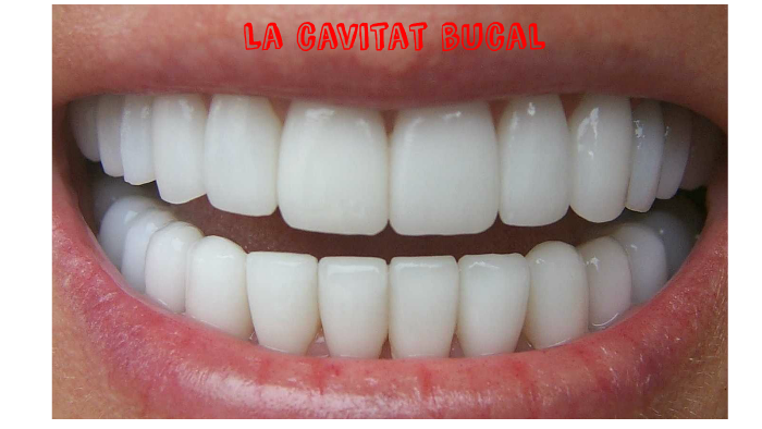 La cavitat bucal by Alba Pavón on Prezi