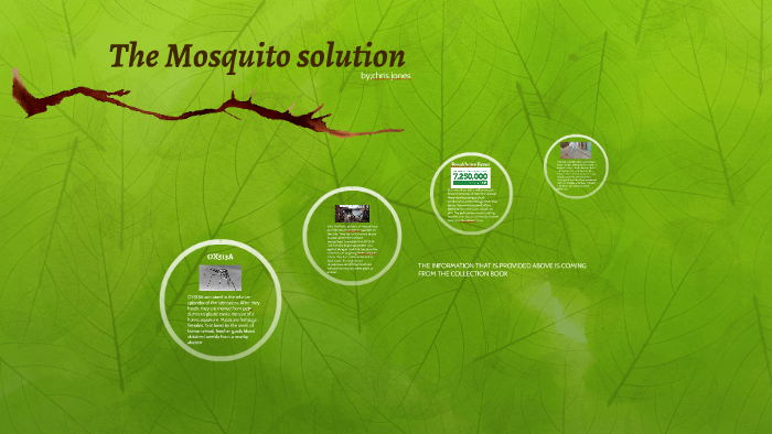 The Mosquito solution by christoper jones on Prezi