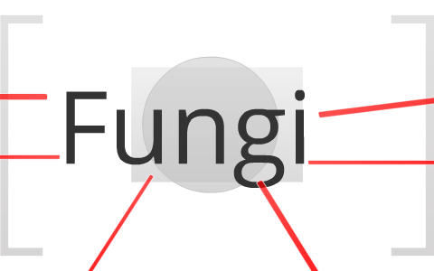 Fungi Concept Map by Breanna Rose on Prezi