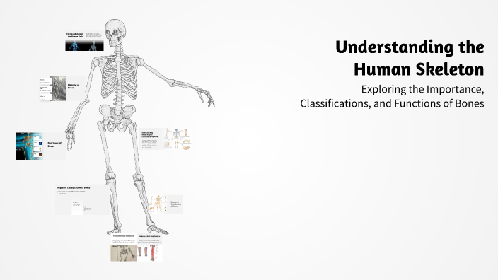 Understanding the Human Skeleton by Eman Ahmed on Prezi