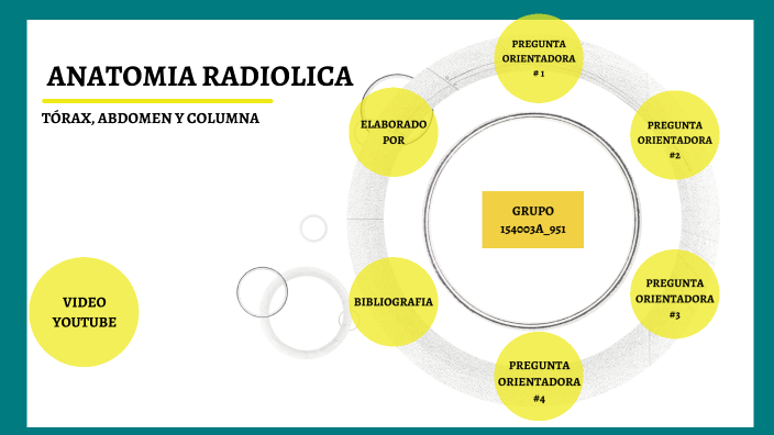 ANATOMIA RADIOLOGICA by ANATOMIA RADIOLOGICA on Prezi