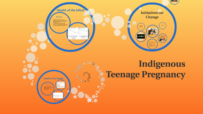 Indigenous Womens Health : Pregnancy and Infant Health by Bridie Mann ...