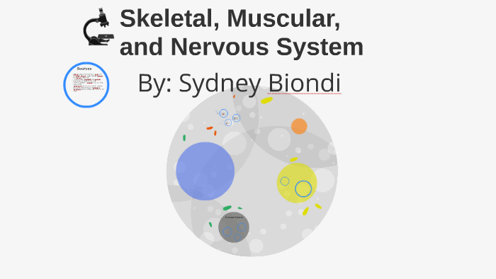 Skeletal, muscular, and Nervous system by Sydney Biondi on Prezi
