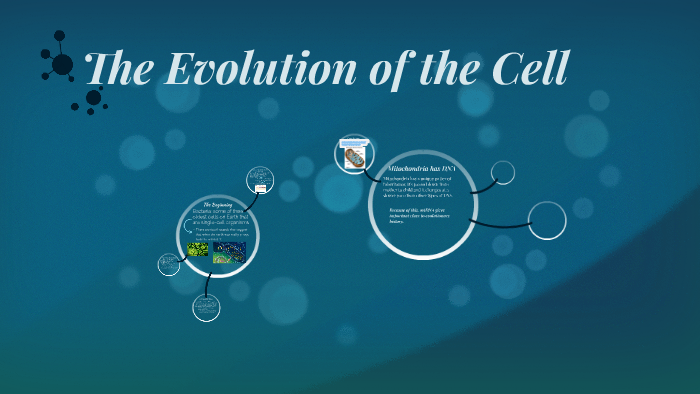 The Evolution of the Cell by Lizzy Essiedu on Prezi