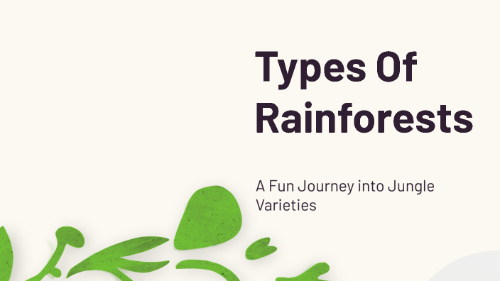 Types Of Rainforests by TANVI THAKKER on Prezi