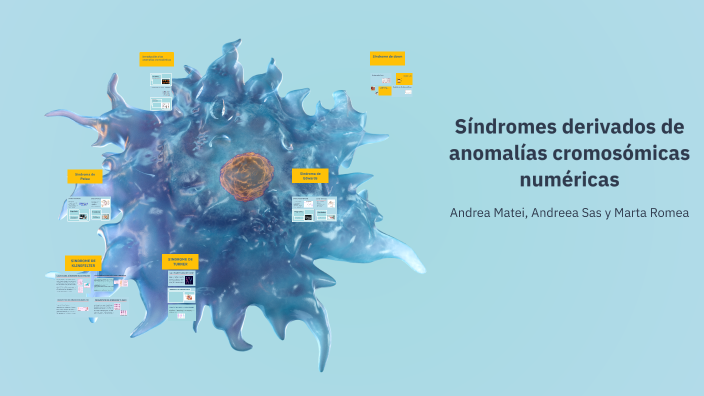 Síndromes derivados de anomalías cromosómicas numéricas by Andreea Sas ...