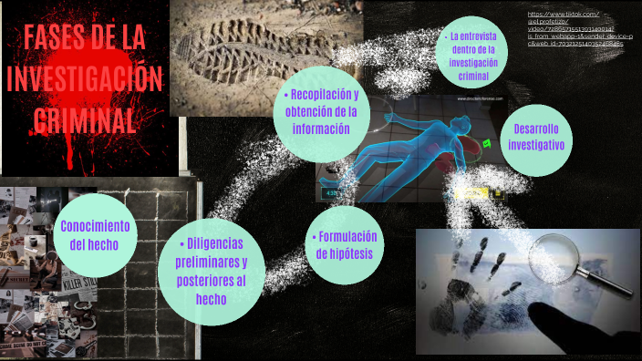 fases de la criminalistica by Jhonatan Estrella on Prezi