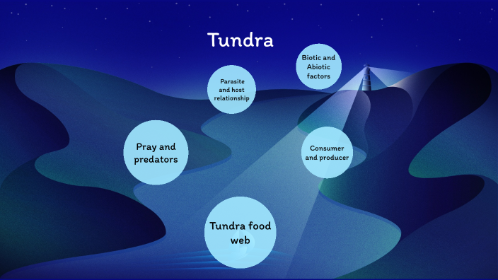 Tundra Science Project by Katie Menjivar on Prezi