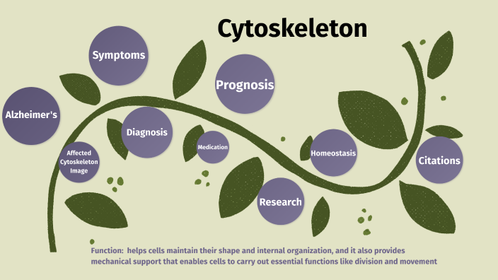 Cytoskeleton Project by Reagan Mate on Prezi