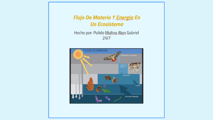 Flujo De Materia Y Energia En Un Ecosistema by Alan Pulido on Prezi