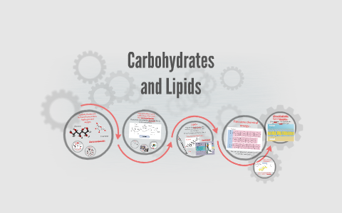 Carbs and Lipids by Erin Maloney on Prezi