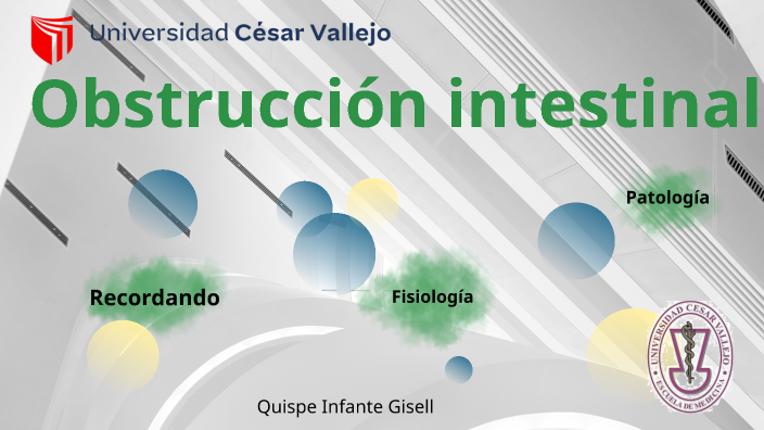 Obstrucción intestinal Alta y Baja by Italo Dueñas Vega on Prezi