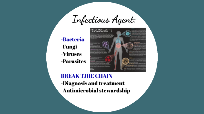 Chain of infection project by Danielle Wright on Prezi