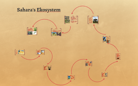 Sahara's Ekosystem by Jeremia on Prezi