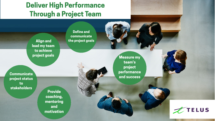 Delivering high performance through a project team by Yingying Hu on Prezi