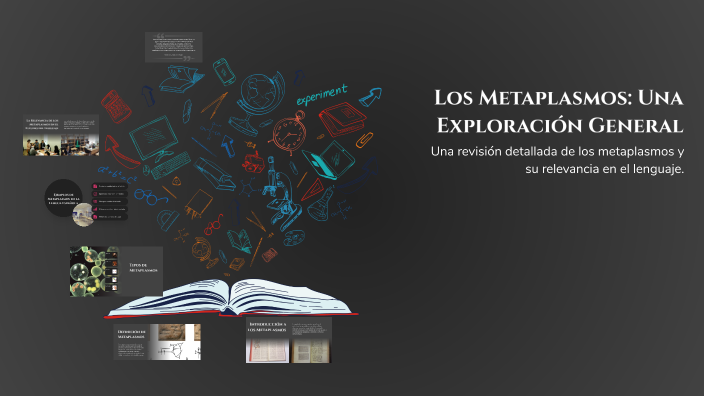 Los Metaplasmos: Una Exploración General by Luis abraham Vaquilema ...