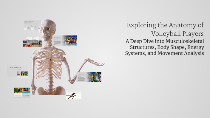 Exploring the Anatomy of Volleyball Players by Emmanuel Harris on Prezi