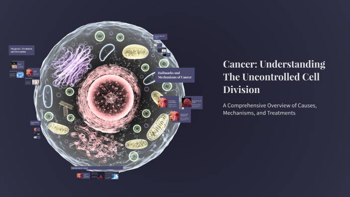 Cancer: Understanding The Uncontrolled Cell Division by Richard Mathew ...