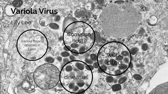 variola virus by Lily Lee on Prezi