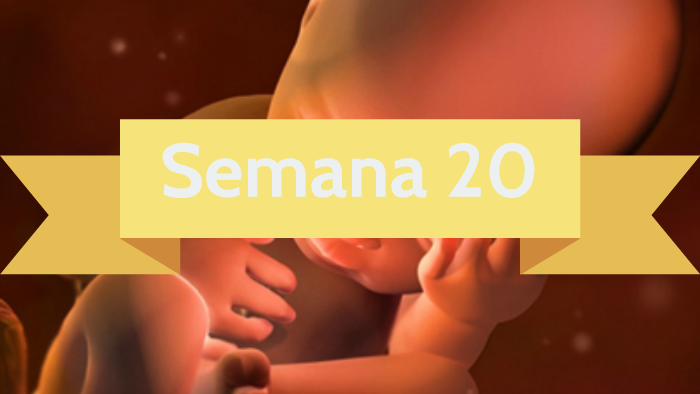 Semana 20 by J B