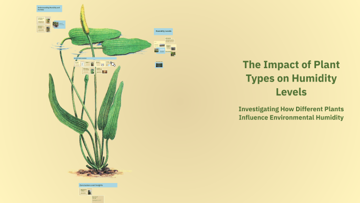 The Impact of Plant Types on Humidity Levels by Luka Grumelli on Prezi