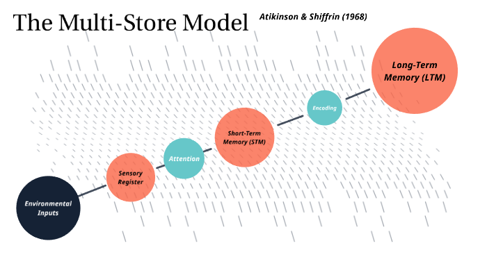The Multi-Store Model by RE GH on Prezi