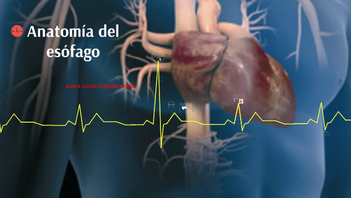 Esofago by Lucely Mundo on Prezi